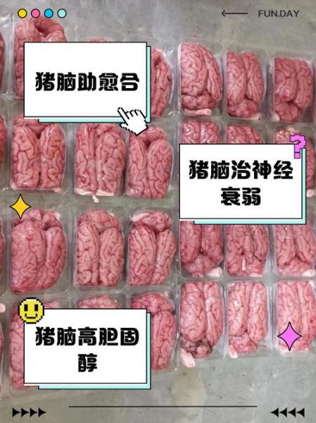 猪脑的危害_猪脑吃多了有什么后果-第1张图片-山城妙识