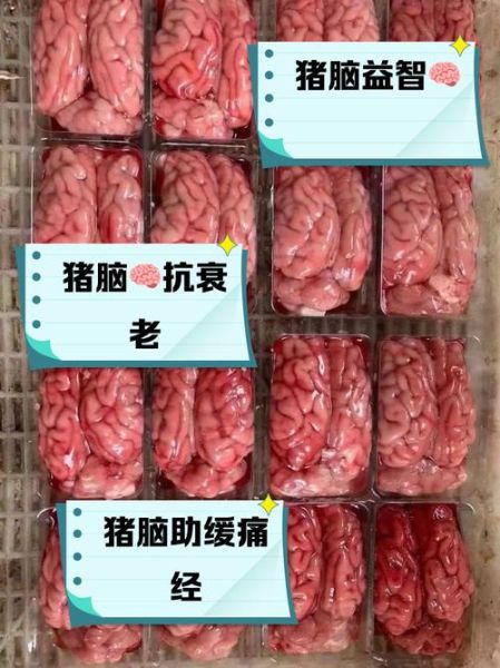 猪脑的危害_猪脑吃多了有什么后果-第3张图片-山城妙识