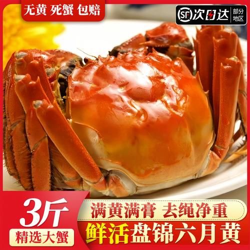 盘锦河蟹什么时候最肥_如何挑选正宗盘锦河蟹-第3张图片-山城妙识 盘锦河蟹什么时候最肥_如何挑选正宗盘锦河蟹-第3张图片-山城妙识