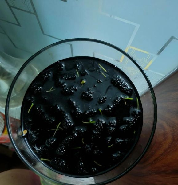 自酿桑葚酒的做法_桑葚酒发酵多久能喝-第1张图片-山城妙识