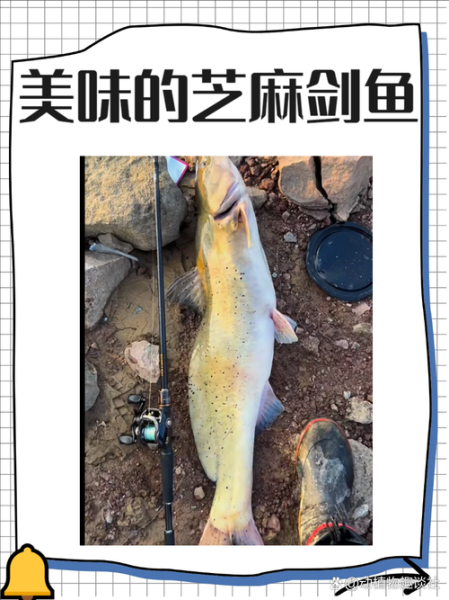 芝麻剑鱼怎么做_芝麻剑鱼家常做法-第1张图片-山城妙识