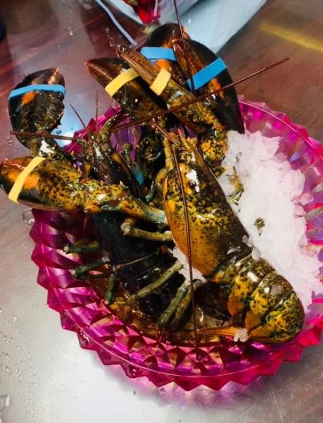 蒜蓉波士顿龙虾怎么做_蒜蓉波士顿龙虾蒸多久-第3张图片-山城妙识 蒜蓉波士顿龙虾怎么做_蒜蓉波士顿龙虾蒸多久-第3张图片-山城妙识