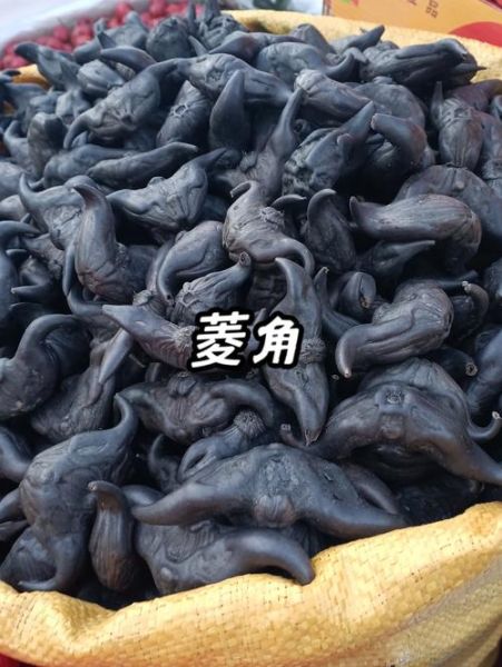 菱角品种有哪些_菱角图片大全怎么区分-第1张图片-山城妙识 菱角品种有哪些_菱角图片大全怎么区分-第1张图片-山城妙识