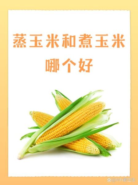 嫩玉米怎么煮好吃_嫩玉米煮多久才甜-第3张图片-山城妙识