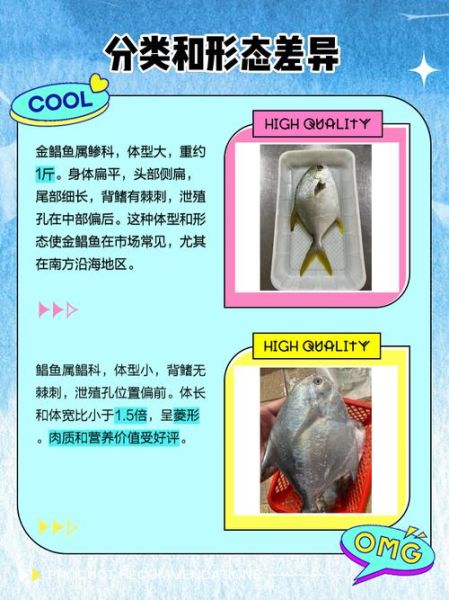 红鲳鱼是什么鱼_红鲳鱼与金鲳鱼的区别-第2张图片-山城妙识