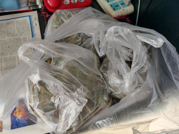 蜜枣葡萄干粽子怎么做_蜜枣葡萄干粽子做法-第1张图片-山城妙识