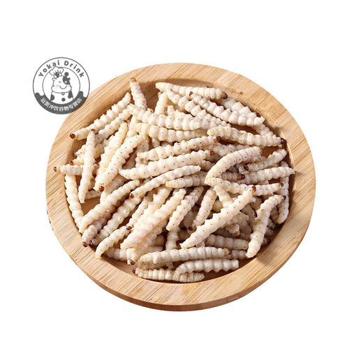 竹虫怎么养殖_竹虫价格多少钱一斤-第2张图片-山城妙识