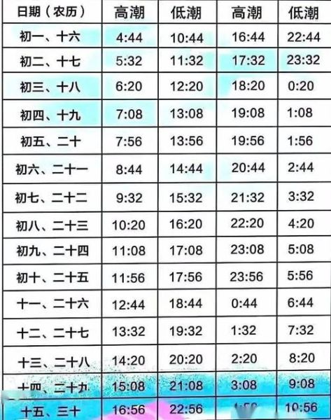 鲅鱼圈潮汐表怎么看_赶海最佳时间-第3张图片-山城妙识