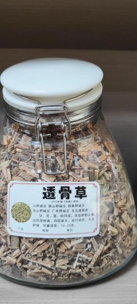 透骨草的功效与作用_透骨草能治什么病-第3张图片-山城妙识