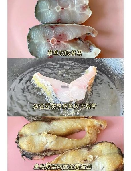 垮炖鱼块怎么做_垮炖鱼块家常做法-第1张图片-山城妙识