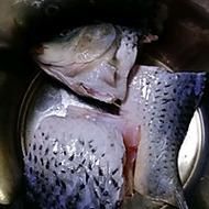 垮炖鱼块怎么做_垮炖鱼块家常做法-第2张图片-山城妙识