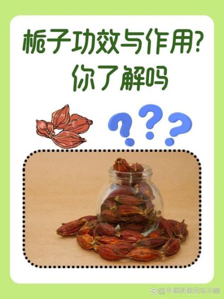 栀子有什么功效与作用_栀子泡水喝的禁忌-第2张图片-山城妙识 栀子有什么功效与作用_栀子泡水喝的禁忌-第2张图片-山城妙识