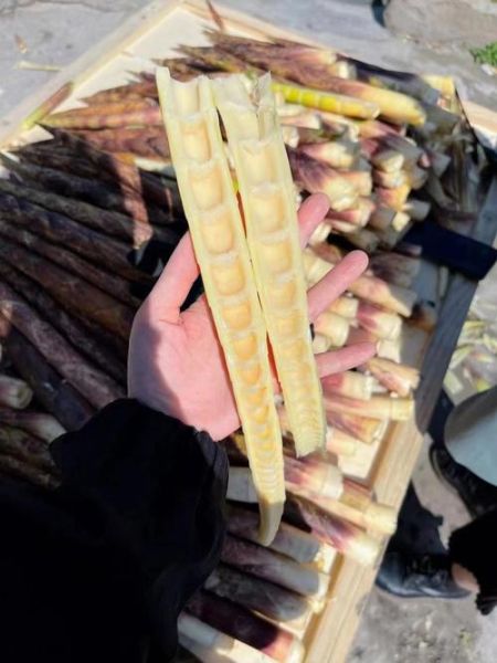 袋装方竹笋怎么做好吃_袋装方竹笋的做法大全-第3张图片-山城妙识 袋装方竹笋怎么做好吃_袋装方竹笋的做法大全-第3张图片-山城妙识