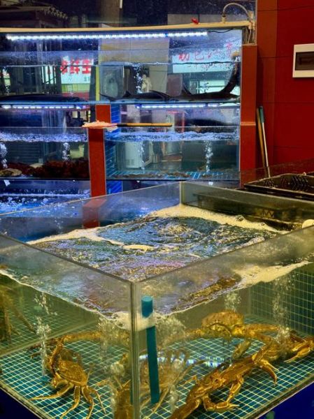 海鲜市场是闲鱼吗_海鲜市场在哪找-第1张图片-山城妙识 海鲜市场是闲鱼吗_海鲜市场在哪找-第1张图片-山城妙识