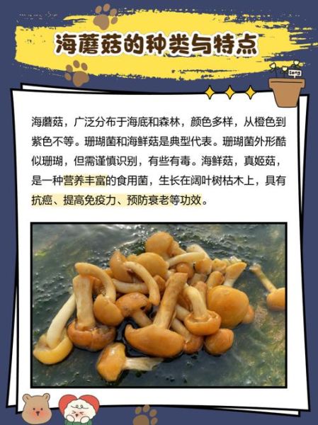 海蘑菇怎么吃_海蘑菇的做法大全-第1张图片-山城妙识 海蘑菇怎么吃_海蘑菇的做法大全-第1张图片-山城妙识