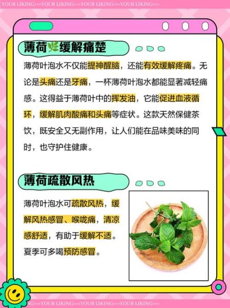 薄荷叶泡水喝的禁忌_孕妇能喝吗-第1张图片-山城妙识 薄荷叶泡水喝的禁忌_孕妇能喝吗-第1张图片-山城妙识
