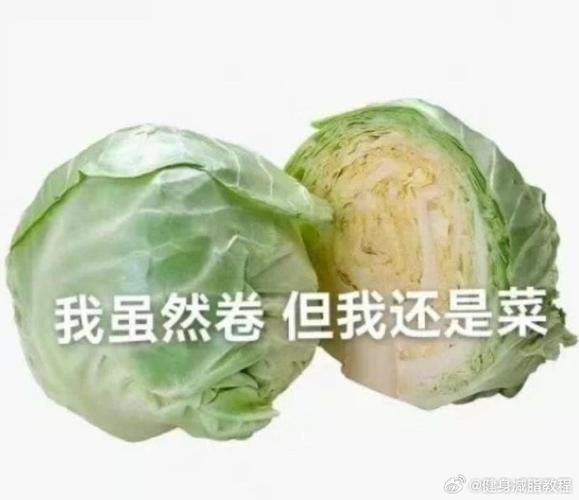 卷心菜又卷又菜表情包怎么来的_为什么突然火了-第1张图片-山城妙识 卷心菜又卷又菜表情包怎么来的_为什么突然火了-第1张图片-山城妙识