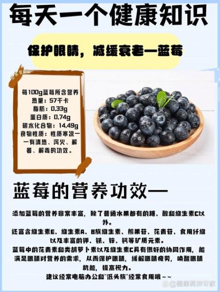 蓝莓果的功效与作用_蓝莓果怎么吃最护眼-第1张图片-山城妙识
