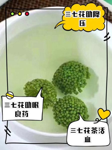 三七花泡水喝的功效与禁忌_三七花降血压效果好吗-第1张图片-山城妙识