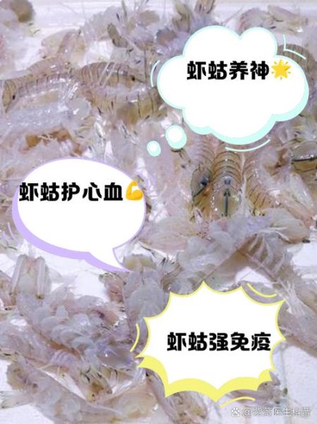 虾蛄为什么打不过螃蟹_虾蛄天敌有哪些-第2张图片-山城妙识