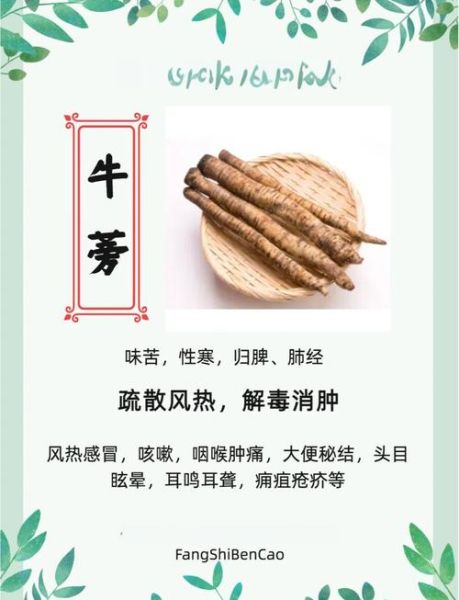 新鲜牛蒡怎么吃_牛蒡根做法大全-第1张图片-山城妙识 新鲜牛蒡怎么吃_牛蒡根做法大全-第1张图片-山城妙识