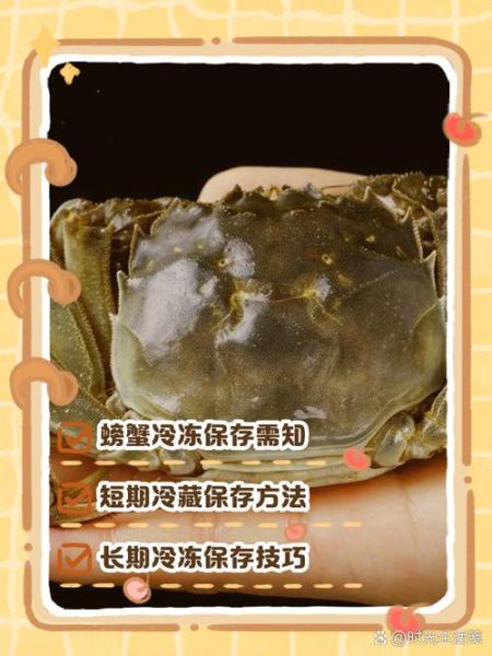 活螃蟹怎么保存10天_活螃蟹保存10天不死的方法-第3张图片-山城妙识