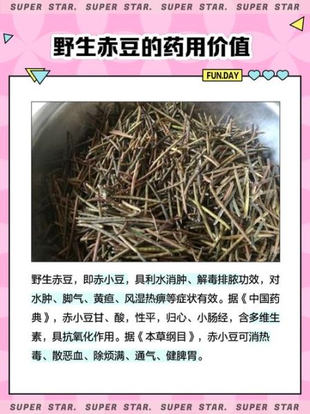 野生赤小豆吃了有什么好处_赤小豆功效与作用-第2张图片-山城妙识