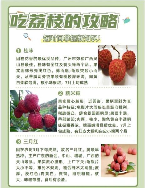 荔枝的功效与作用_吃荔枝会上火吗-第3张图片-山城妙识