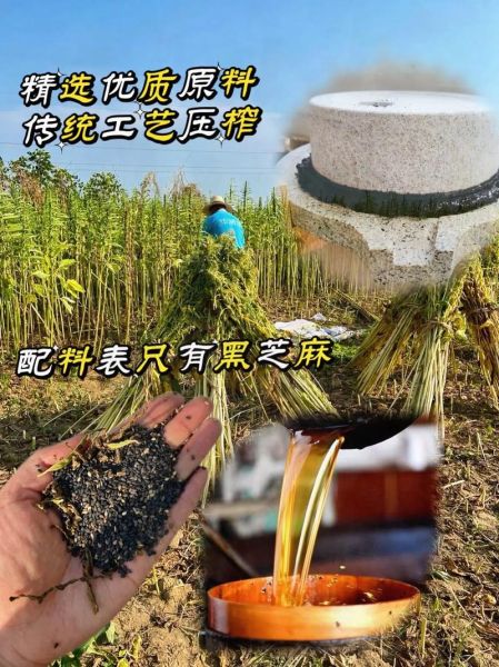 小麻油是什么油_小麻油和芝麻油区别-第1张图片-山城妙识 小麻油是什么油_小麻油和芝麻油区别-第1张图片-山城妙识