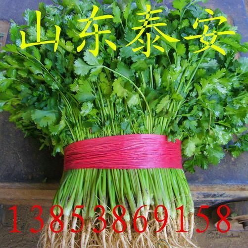 香菜网商城怎么样_香菜网商城靠谱吗-第1张图片-山城妙识