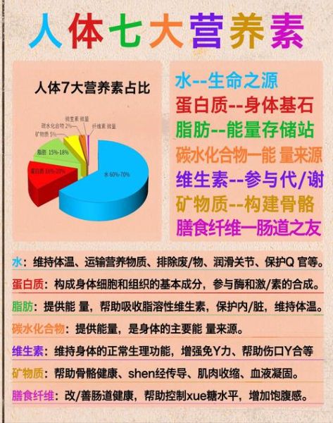 营养素包括哪几类_人体必需营养素有哪些-第1张图片-山城妙识 营养素包括哪几类_人体必需营养素有哪些-第1张图片-山城妙识