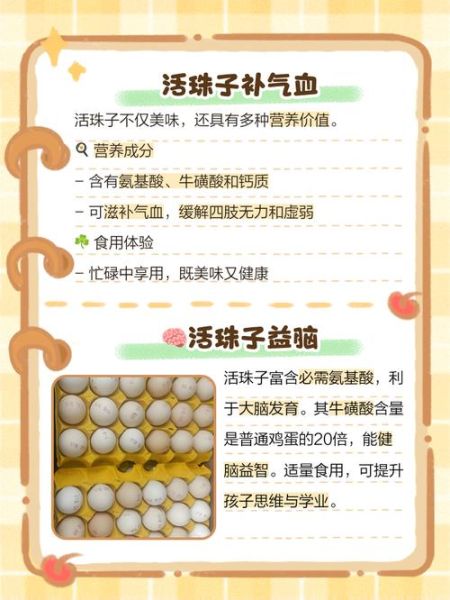 男人吃活珠子有什么好处_活珠子对男性功效-第3张图片-山城妙识 男人吃活珠子有什么好处_活珠子对男性功效-第3张图片-山城妙识