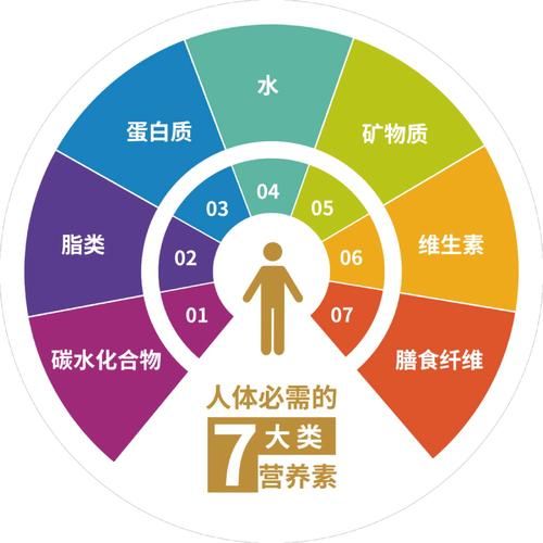 营养素包括哪几类_人体必需营养素有哪些-第2张图片-山城妙识 营养素包括哪几类_人体必需营养素有哪些-第2张图片-山城妙识