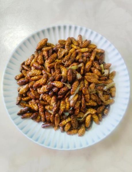 水煮蚕蛹怎么做好吃_水煮蚕蛹需要煮多久-第2张图片-山城妙识