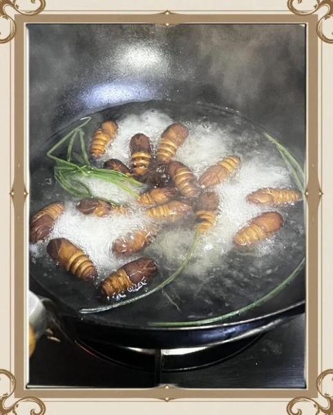 水煮蚕蛹怎么做好吃_水煮蚕蛹需要煮多久-第3张图片-山城妙识