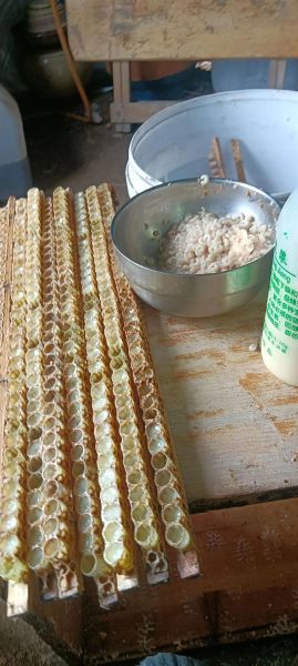 蜂王浆多少钱一斤_正宗蜂王浆价格是多少-第3张图片-山城妙识