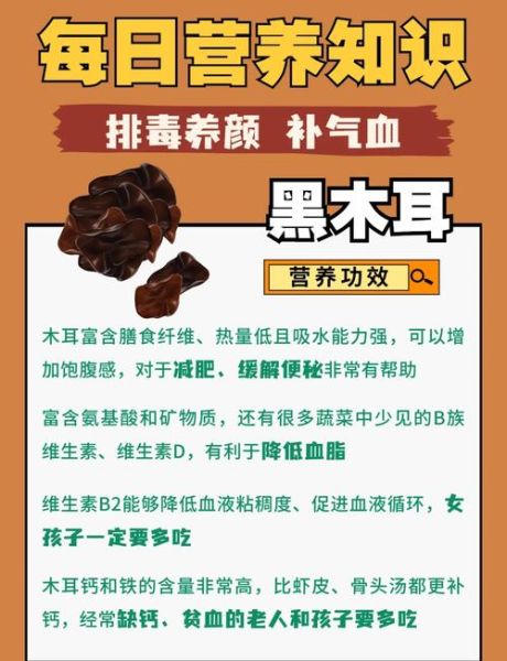 哪些树上的木耳不能吃_野外木耳中毒风险-第3张图片-山城妙识