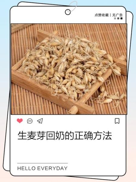生麦芽回奶效果好吗_生麦芽回奶用量多少克-第3张图片-山城妙识