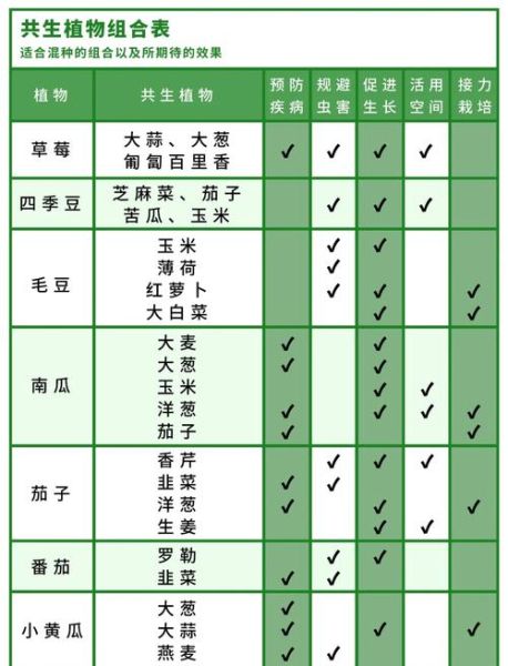 蔬菜营养搭配_如何科学配餐-第3张图片-山城妙识 蔬菜营养搭配_如何科学配餐-第3张图片-山城妙识