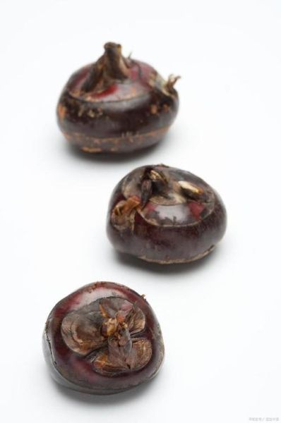 荸荠怎么读音_荸荠的拼音是什么-第3张图片-山城妙识 荸荠怎么读音_荸荠的拼音是什么-第3张图片-山城妙识