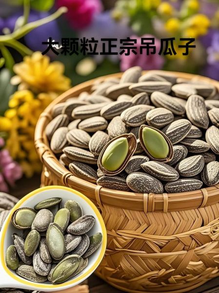 北方吊瓜子产地哪里好_北方吊瓜子怎么炒才香-第2张图片-山城妙识