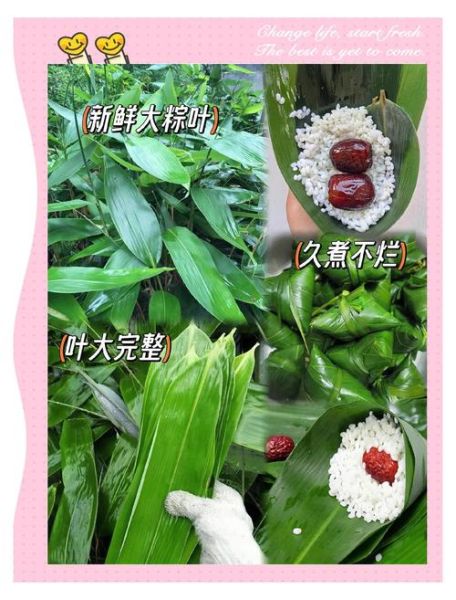 粽子叶怎么煮_粽子叶煮多久才软-第3张图片-山城妙识 粽子叶怎么煮_粽子叶煮多久才软-第3张图片-山城妙识