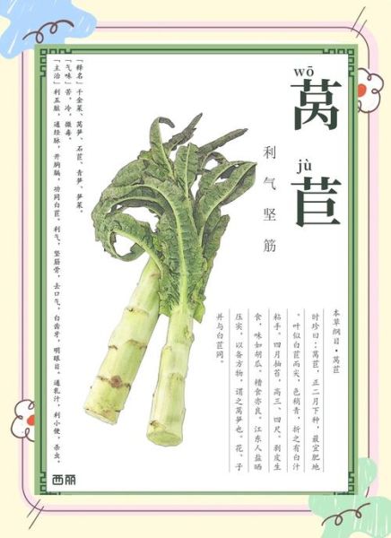 莴苣菜怎么种_莴苣菜的营养价值-第1张图片-山城妙识