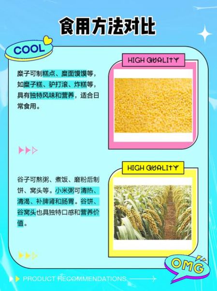 谷子是什么_谷子和小麦的区别-第1张图片-山城妙识