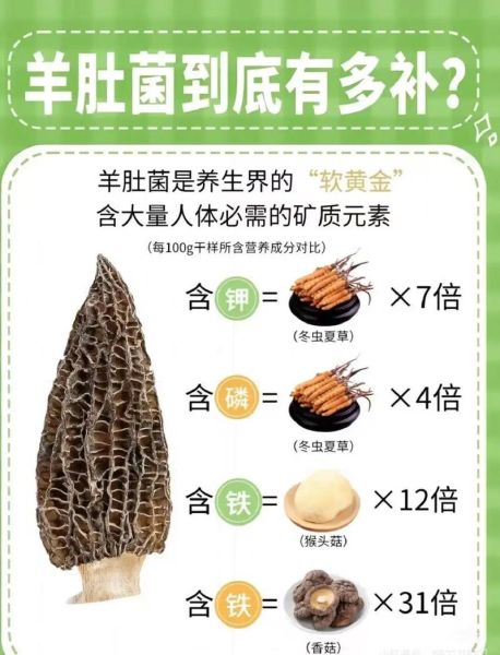 羊肚菌亩产量一般多少斤_如何提高羊肚菌亩产量-第3张图片-山城妙识