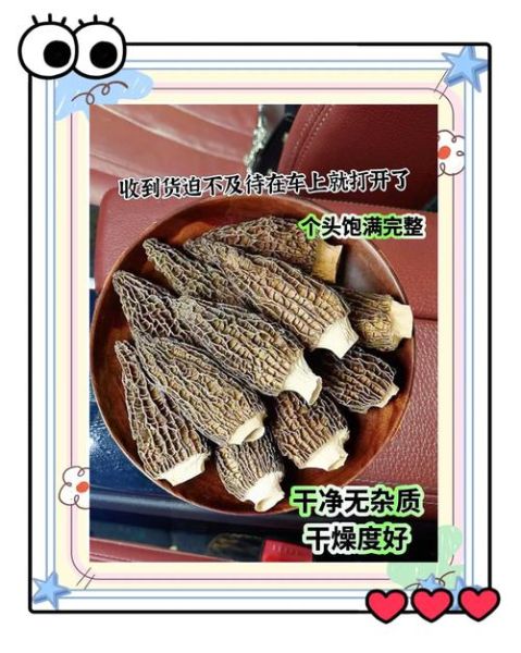 羊肚菌亩产量一般多少斤_如何提高羊肚菌亩产量-第2张图片-山城妙识