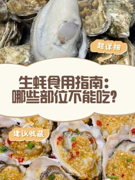 生蚝哪些部位不能吃_怎么处理最安全-第3张图片-山城妙识 生蚝哪些部位不能吃_怎么处理最安全-第3张图片-山城妙识