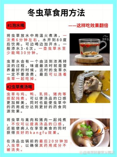 冬虫夏草怎么吃最好_冬虫夏草正确吃法大全-第3张图片-山城妙识