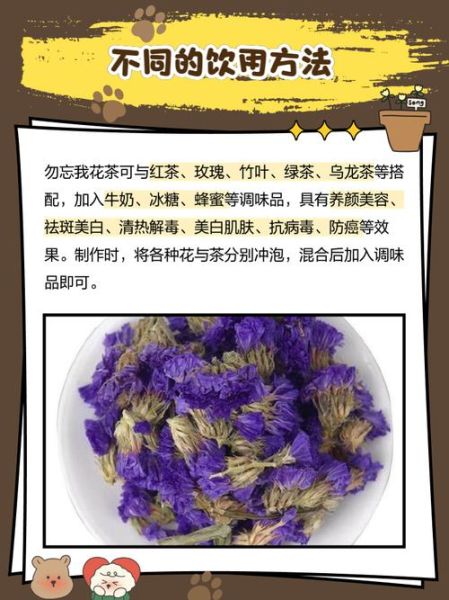 勿忘我花茶的功效与作用_勿忘我花茶怎么泡-第1张图片-山城妙识