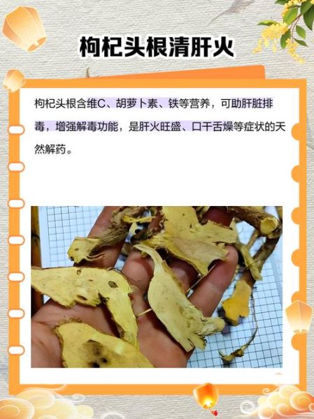 枸杞根的功效与作用_枸杞根怎么吃最好-第3张图片-山城妙识